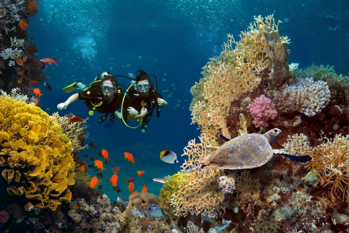 Linapacan Scuba Diving Hidden Spot In Palawan | LXV PH