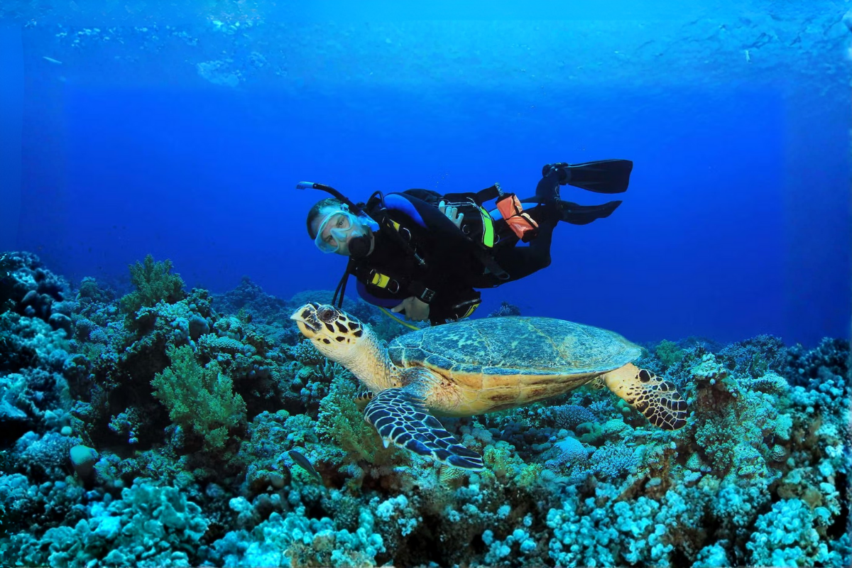 Linapacan Scuba Diving Hidden Spot In Palawan | LXV PH
